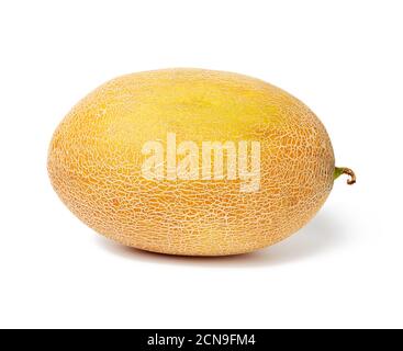 round yellow ripe melon isolated on white background, close up Stock ...