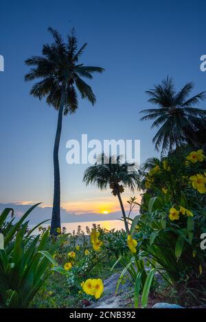 Sunset over the ocean at ABC Beach, Tioman, Malaysia Stock Photo - Alamy