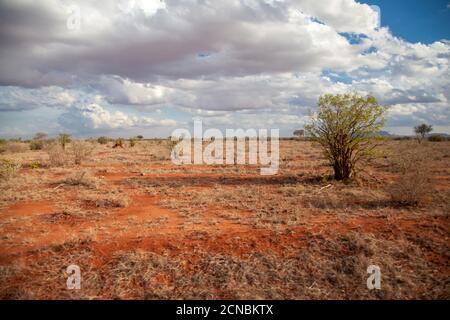 Beautiful Blue Sky with White Clouds A Serene and Peaceful Atmosphere ...