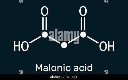 Malonic acid, dicarboxylic, propanedioic acid molecule. The ionized ...