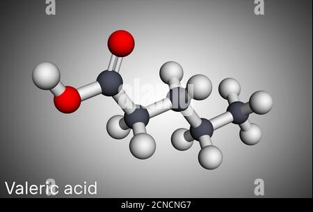 Valeric acid, pentanoic acid or valerate molecule. Skeletal chemical ...