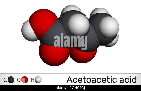 Ketone body (acetoacetic acid, diacetic acid) molecule. Stylized ...