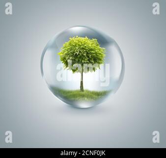 drop of water with tree inside Stock Photo - Alamy