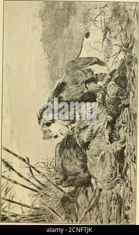 blue gold sheen on water dsca 3804 Stock Photo - Alamy