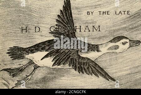. The birds of Iona & Mull . Q en triI p M II! m Hill! IIII AMNH ...