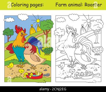 Coloring pages with happy rooster, hen and chickens on the farm meadow ...
