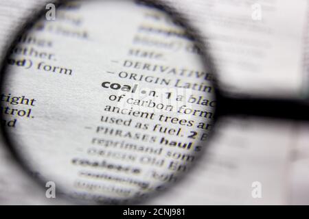 Word or phrase Coal tit in a dictionary Stock Photo - Alamy