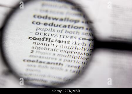 Highlighted word coefficient concept and meaning Stock Photo - Alamy
