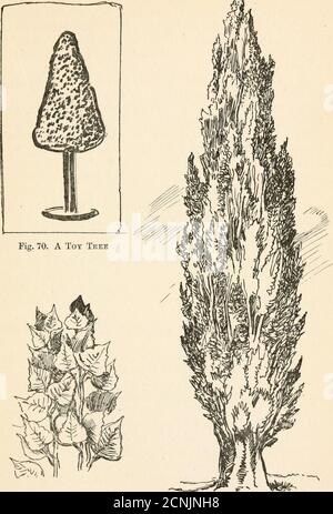 Tree shapes. Pencil drawing Stock Photo - Alamy