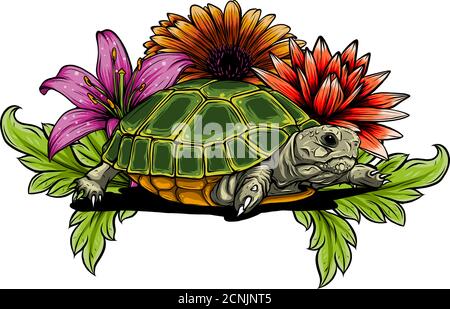 vector illustration of Sea turtle with flower on white background Stock ...
