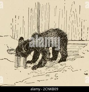 . Uncle Zeb & his friends Stock Photo - Alamy