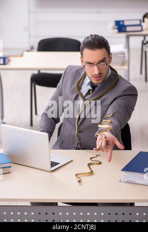 Male employee with snake in the office Stock Photo - Alamy