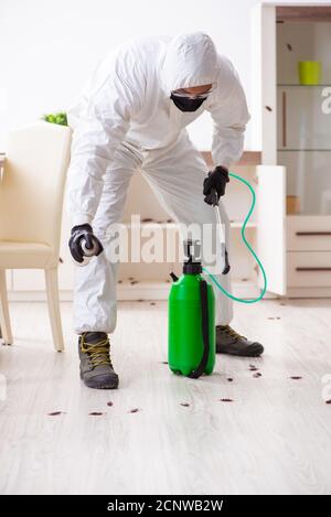 Young male contractor doing pest control Stock Photo - Alamy