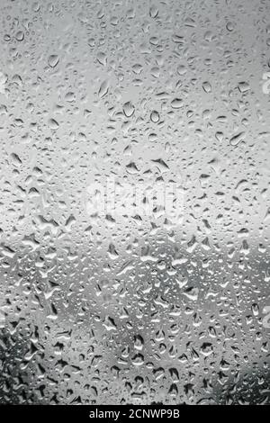 A vertical shot of raindrops falling on the ground in the streets of ...