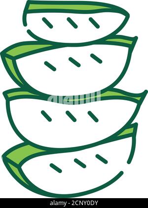 Piece of aloe icon. Flat illustration of piece of aloe vector icon for ...