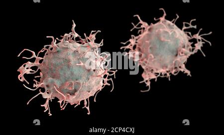 Skin cancer cell, computer illustration Stock Photo - Alamy