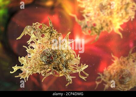Amoeba, computer illustration Stock Photo - Alamy
