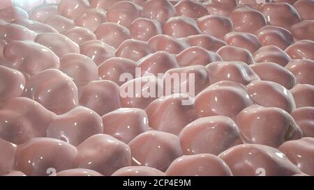 Layer of cells, computer illustration Stock Photo - Alamy