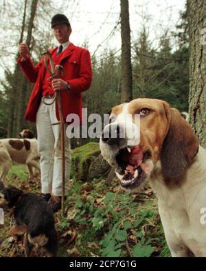 Barry Todhunter, huntsman of the Blencathra pack, which hunted for ...
