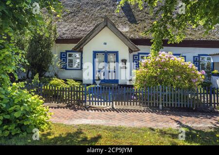 Thatched roof house in Graal-Müritz, Baltic Sea coast, Mecklenburg ...