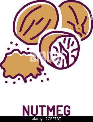 nutmeg nut color icon vector illustration Stock Vector Image & Art - Alamy