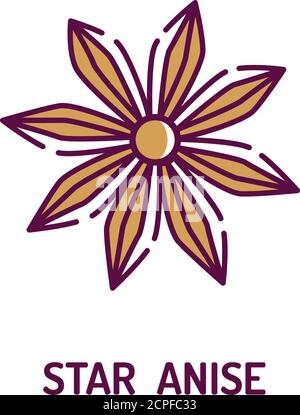 anise plant line icon vector illustration Stock Vector Image & Art - Alamy
