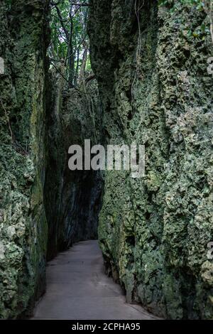 Crevice in the Kenting National Forest Recreation Area Stock Photo - Alamy