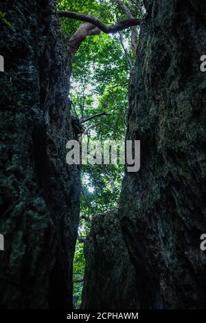 Crevice in the Kenting National Forest Recreation Area Stock Photo - Alamy