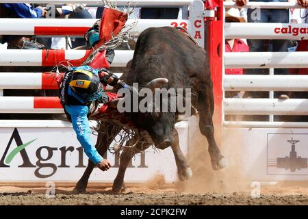 Bull riding at the Fort Worth Rodeo Stock Photo - Alamy