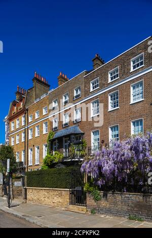 Cheyne Walk, Chelsea, London; an affluent, upmarket row of houses along ...