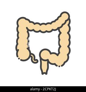 Indigestion line color icon. Human organ concept. Sign for web page ...