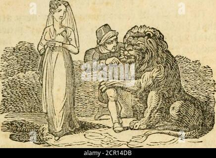 FABLE / LION IN LOVE Stock Photo - Alamy
