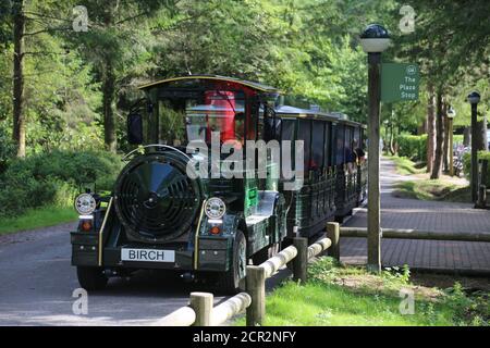 The land train at Center Parcs , Longleat, Wiltshire, England, United ...