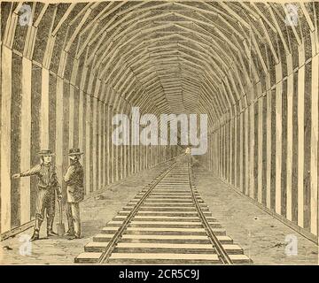 Map of rail & stage route to Big Tree Groves and Yosemite , Railroads ...