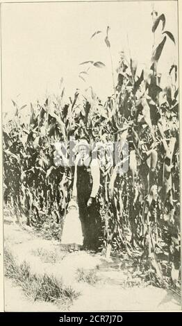. Intensive farming and use of dynamite . soil underlaid by an im ...