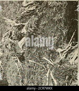 . Intensive farming and use of dynamite . mm^SR Stock Photo - Alamy