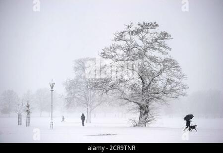 The snow falls in the Clapham Common area and the toboggans are out ...