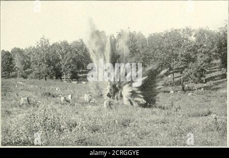 three sticks of dynamite Stock Photo - Alamy