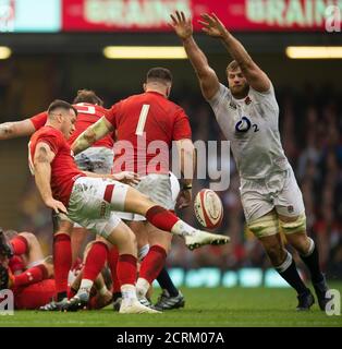 Wales' Gareth Davies Stock Photo - Alamy