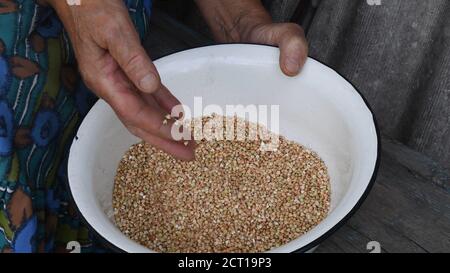Wrinkled hands of 80 year granny spill raw buckwheat groats into old ...