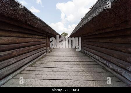 Biskupin is an archaeological site in Poland, known for its ...