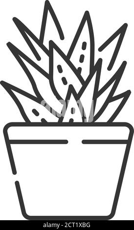 Aloe flowerpot color line icon. Outline pictogram for web page, mobile ...