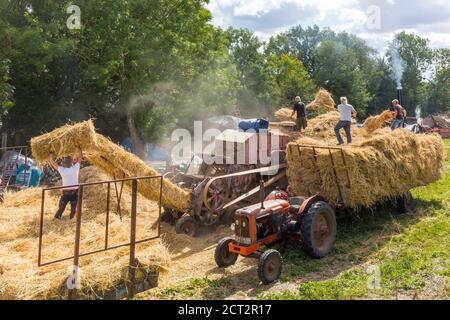 Using a traditional steam powered Ransomes of Ipswich threshing machine ...