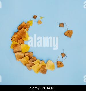 Round frame made of autumn leaves, leaf fall swirls around Stock Photo ...