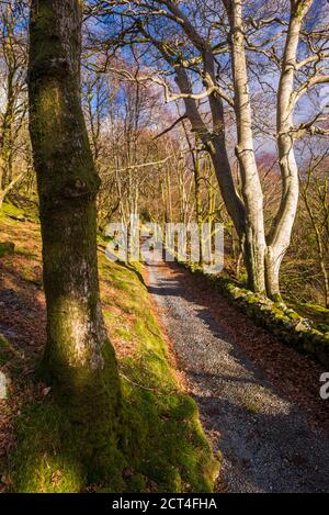 Croesor Valley, Snowdonia National Park, North Wales Stock Photo - Alamy