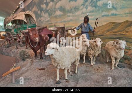 Sheep, oxen pulling settler's wagon in life-size diorama at Oregon ...