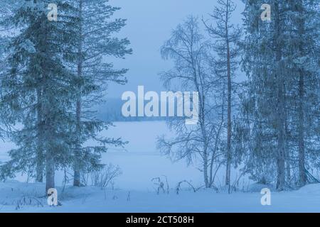 Magical Lapland winter scene Stock Photo - Alamy