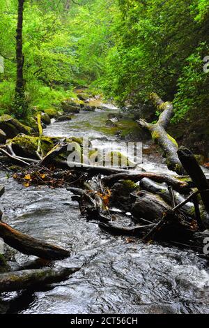 Grey Mares waterfall ,Kinlochleven, Scotland Stock Photo - Alamy