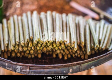 Cheroot, Burmese cigar, Cheroot cigars Stock Photo - Alamy
