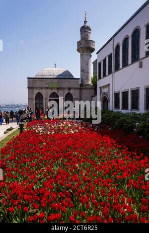 Topkapı Palace, Istanbul, Marmara Region, Turkey, Europe Stock Photo ...